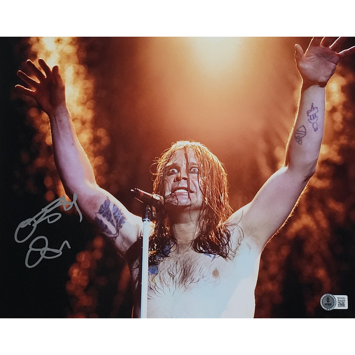 Ozzy Osbourne Signed Photo #2 (11x14) - Twin Cities Comics