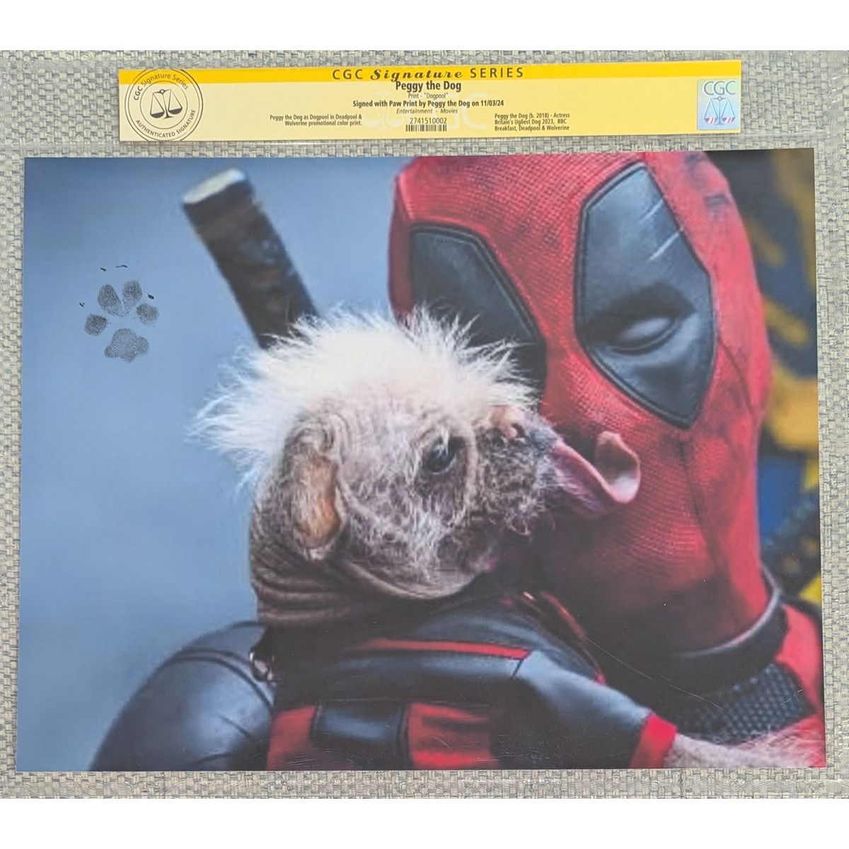Dogpool (aka Peggy the Dog) Photo #2 (11x14) w/ Paw Print - CGC - Twin ...